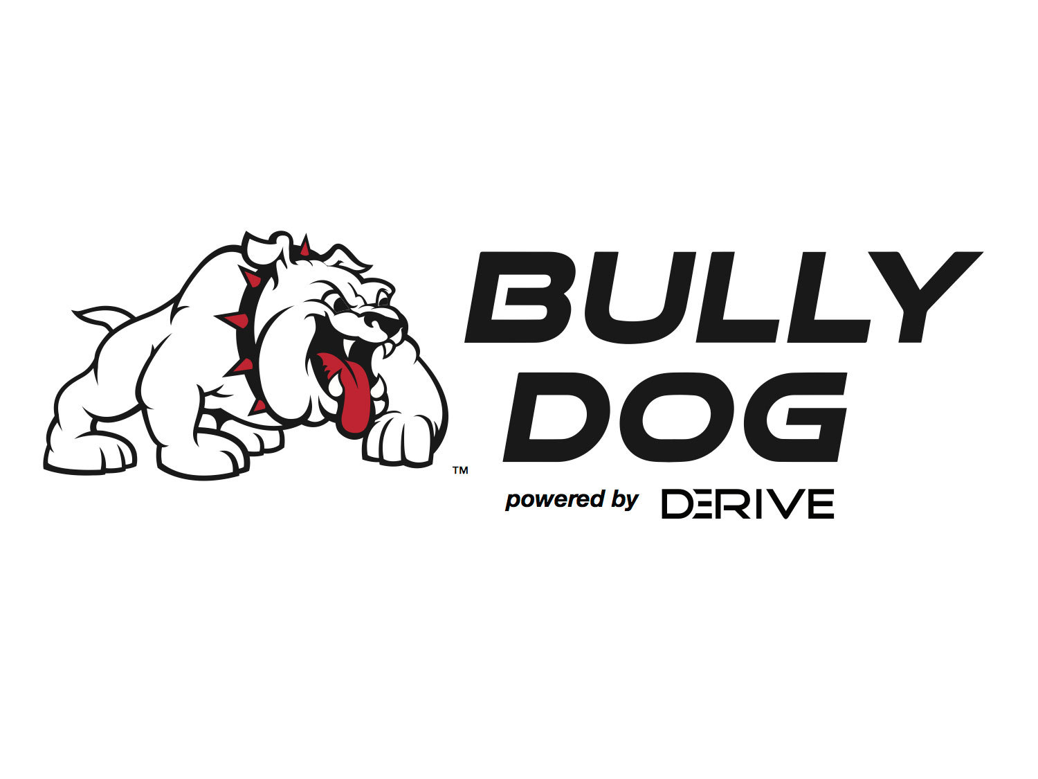 SCT And Bully Dog Introduce Derive Systems and New Products | Business Wire